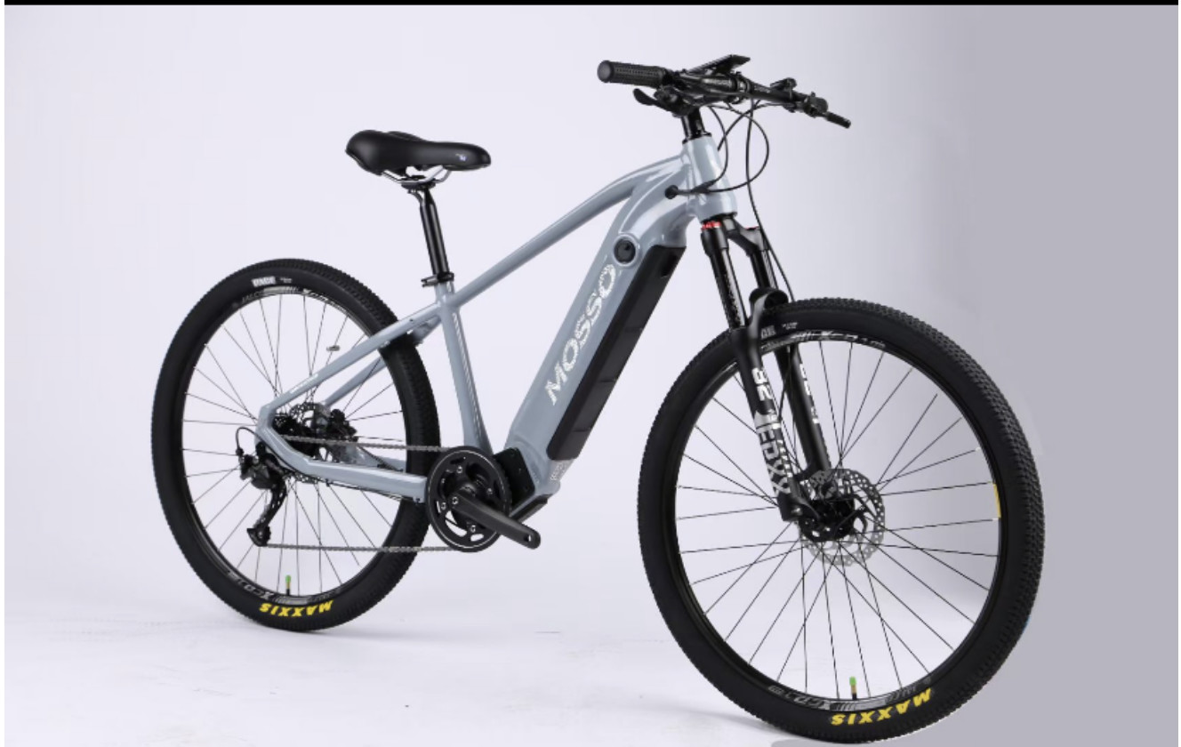 250W Electric Bike with Multi-Function Display and Smart Features ...