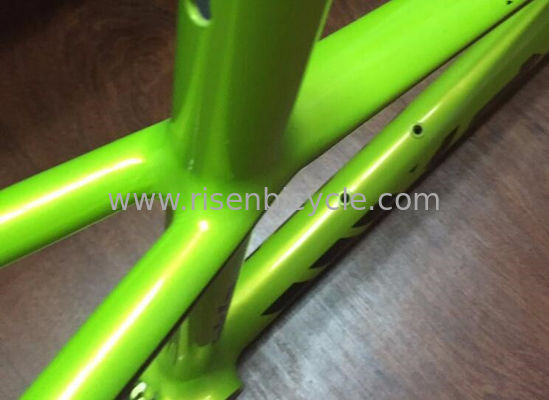 OEM 20er Aluminum BMX/Dirt Jump Bike Frame DJ/Slope Mtb Frame