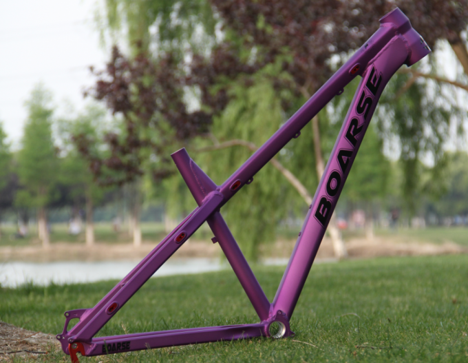 26/27.5er Aluminum 4X BMX/Dirt Jump Hartail AM MTB Mountain Bike Frame